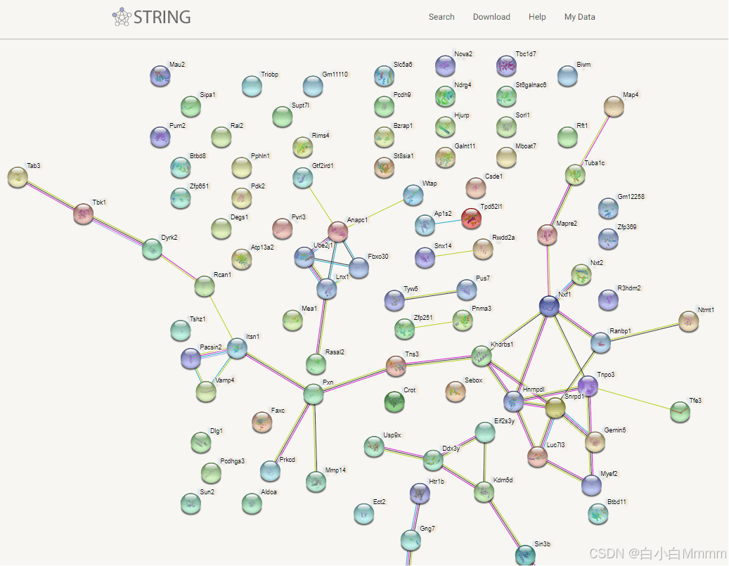 STRING数据库的蛋白质相互作用（PPI）网络分析_string ppi-CSDN博客