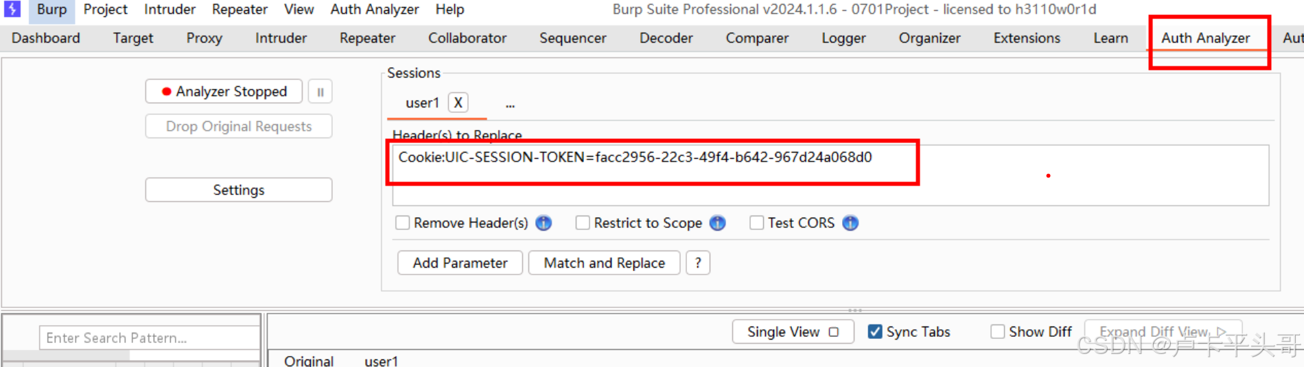AuthAnalyzer使用说明_auth analyzer-CSDN博客