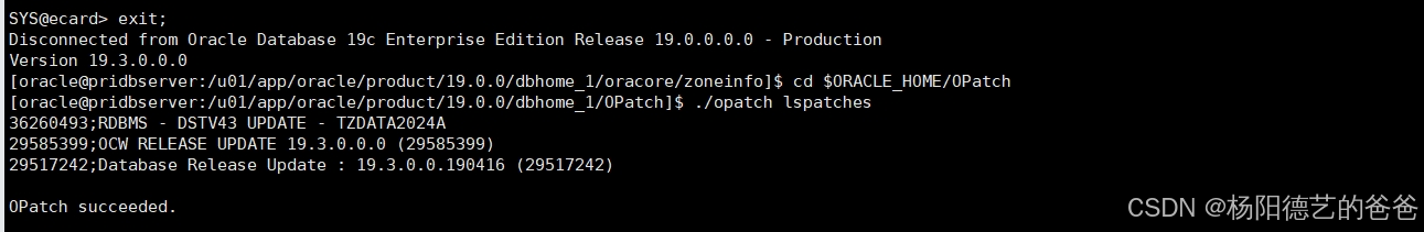 【ORACL 19C 时区版本升级DSTV32-DSTV43（ORA-39405）】_43补丁-CSDN博客