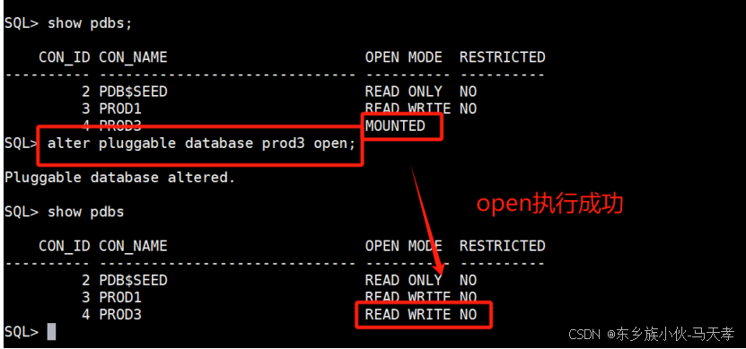 Linux Oracle19c的PDB的迁移（Relocating a PDB ）_oracle pdb迁移-CSDN博客