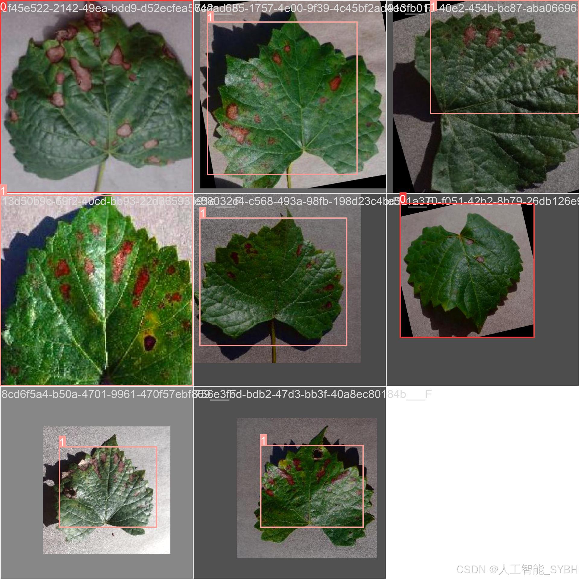 基于深度学习YOLOv10的葡萄叶片病害检测系统（YOLOv10+YOLO数据集+UI界面+Python项目源码+模型）_基于深度学习的葡萄叶部病害图像分类系统-CSDN博客