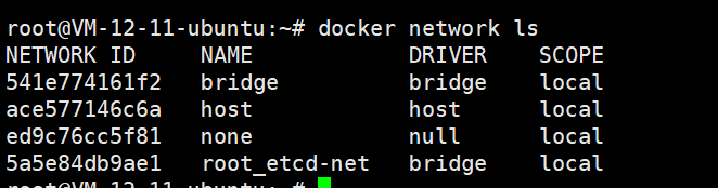 单台服务器利用 docker 进行 etcd 集群部署_docker etcd-CSDN博客