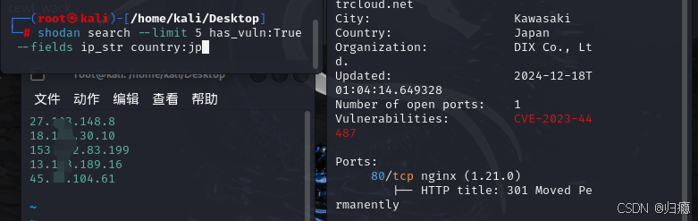 shodan笔记【全】_shodan语法-CSDN博客