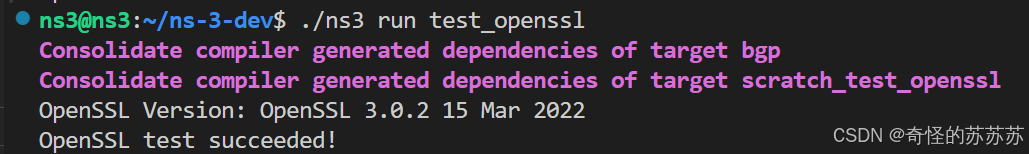 NS3.37引入openssl库教程_ns3引入第三方库-CSDN博客