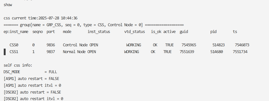 达梦数据库DMDSC集群部署全流程（VMware环境）_dmdsc 搭建教程-CSDN博客