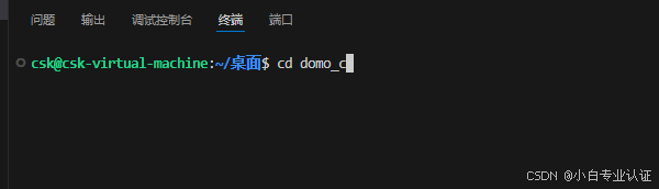 使用VMware搭建Ubuntu虚拟机环境与本地VScode建立远程连接，搭建C语言环境_vscode vmware-CSDN博客