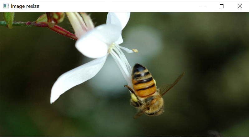 opencv基础使用（五）：利用pycharm+opencv进行图像尺度变换-CSDN博客