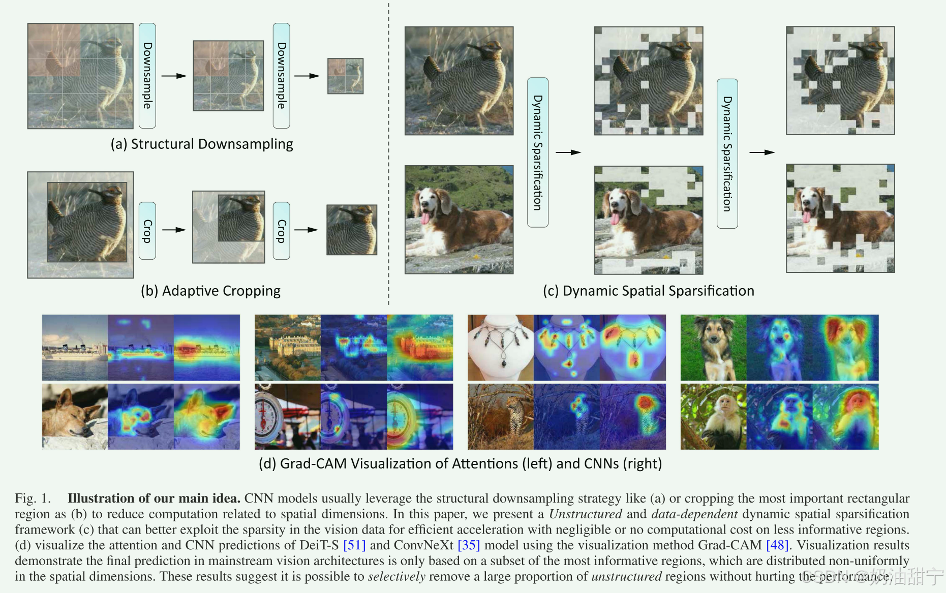 Dynamic Spatial Sparsification for Efﬁcient Vision Transformers and Convolutional Neural ...