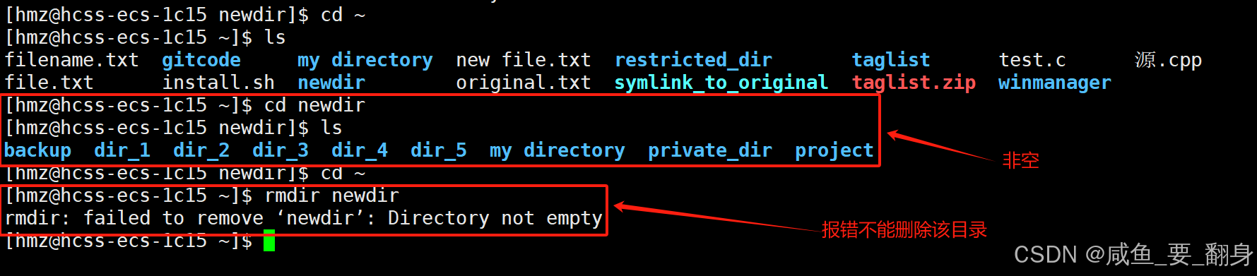 Linux基本命令篇 —— rmdir命令-CSDN博客