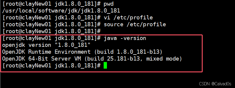【Java架构 搭建环境篇一】Linux安装JDK8与JDK11详细教程-CSDN博客