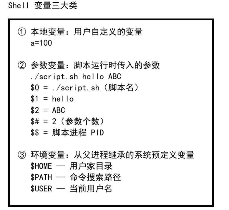 掌握Shell脚本：从入门到精通-CSDN博客