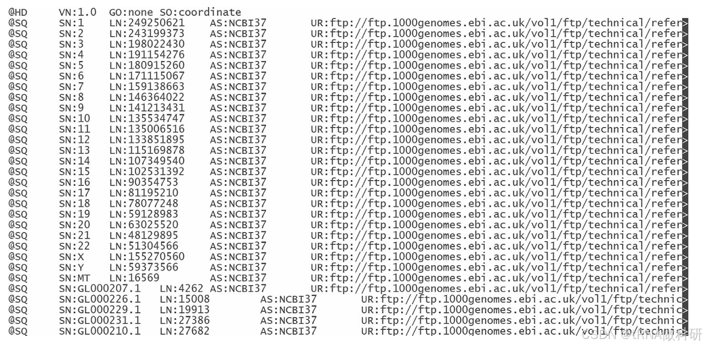 计算生物学与生物信息学漫谈-6-序列比对-BAM/SAM详解_序列比对sm和nm的区别-CSDN博客