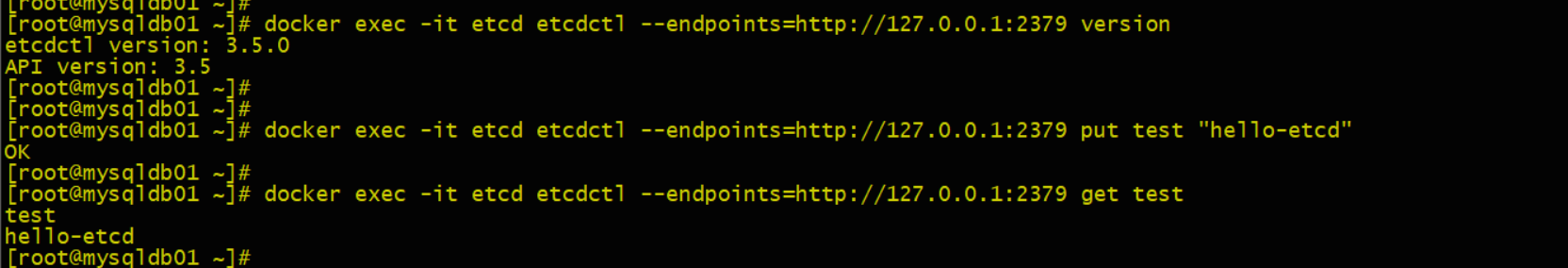 Docker 安装 Etcd 超详细教程：从部署到验证，避坑指南全收录_etcd docker-CSDN博客