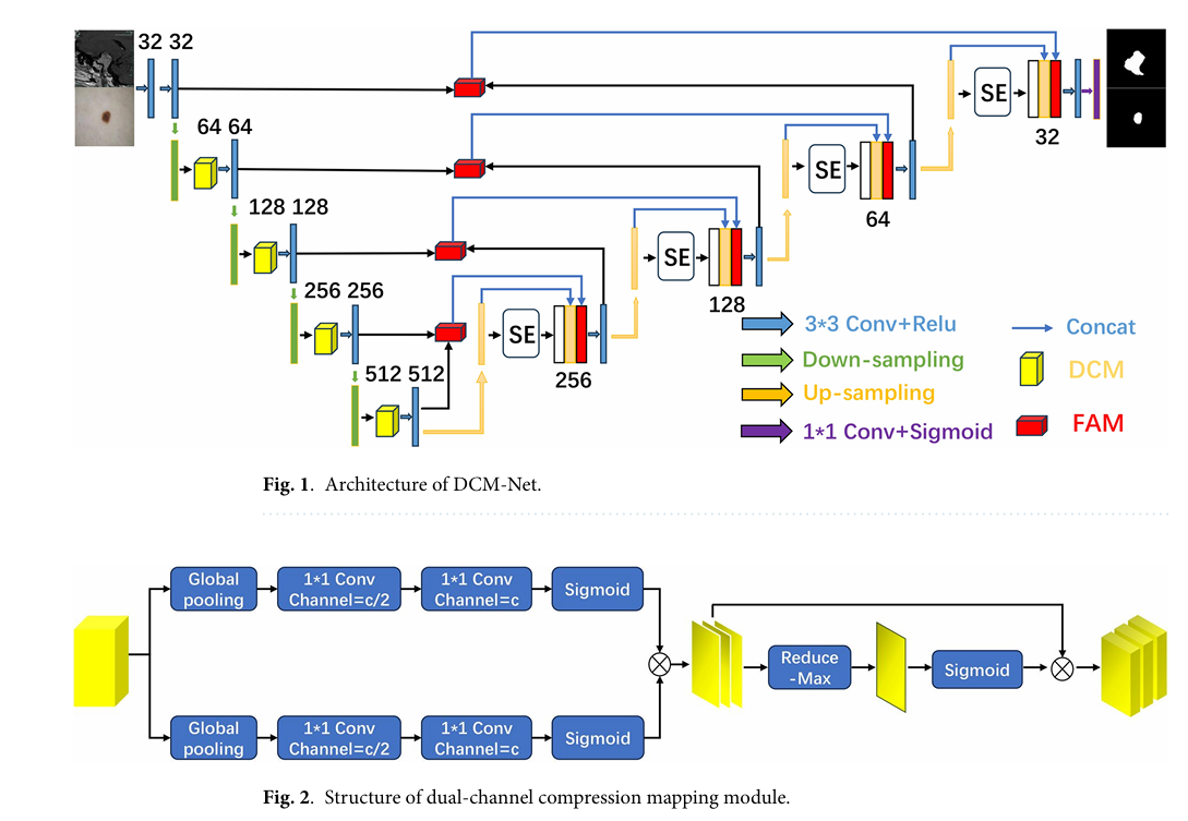 顶刊风向标！Nature最新研究精选：医学图像依旧是2025年的大热门！-CSDN博客