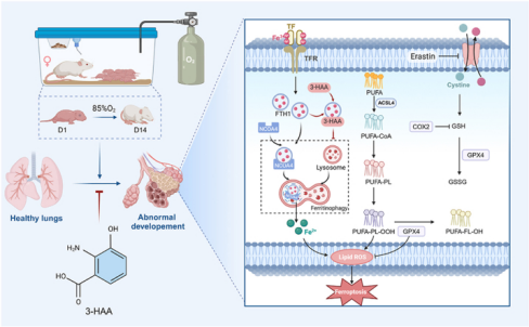 联用 LiP-MS 技术与 SPR 技术鉴定和验证蛋白相互作用_spr验证 二者结合-CSDN博客
