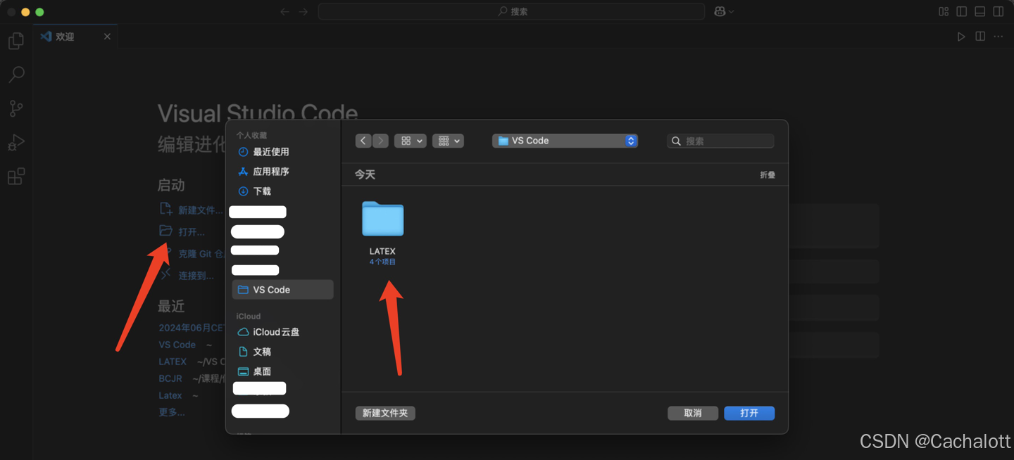 MacOs-LaTeX-VS Code-中文显示-安装与使用_mac vscode latex-CSDN博客
