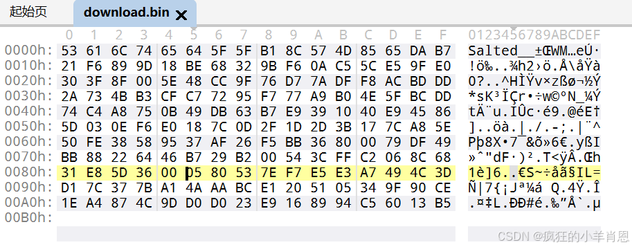 DASCTF2024暑期挑战赛|为热爱，并肩作战-CSDN博客