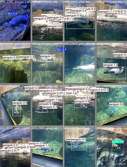 基于YOLO11的水下物体检测系统（Python源码+数据集+Pyside6界面）-CSDN博客