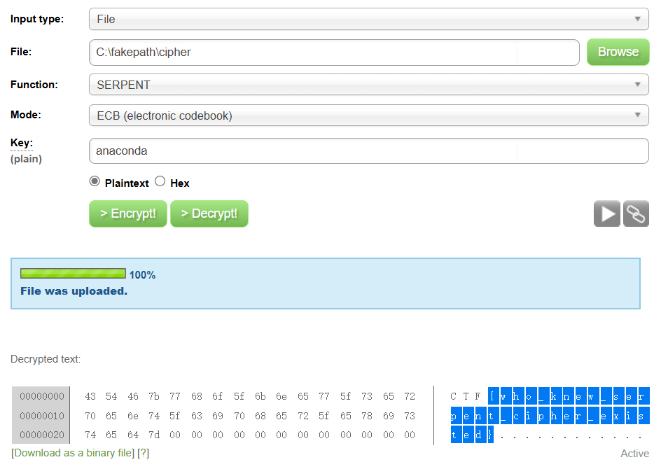 BUUCTF-snake1_buuctf snake1-CSDN博客