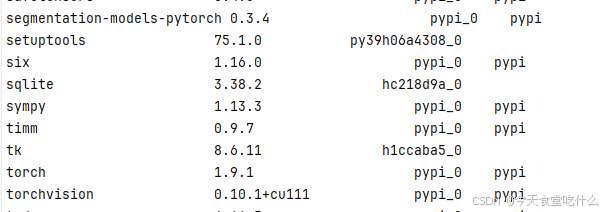 在SSH上创建新anaconda 环境并且配pytorch、smp（GPU）（自用）_anaconda prompt连接ssh-CSDN博客