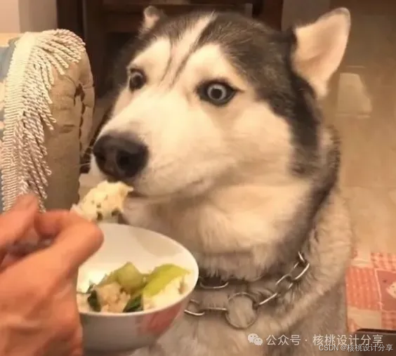 看门狗，一次看明白！_wdi wdo-CSDN博客