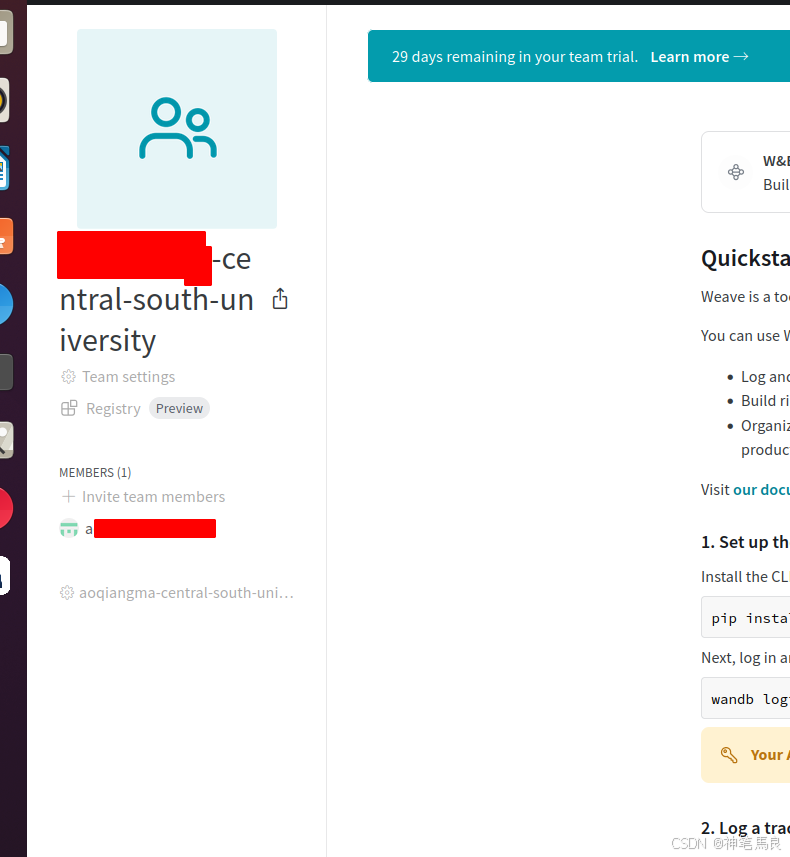 wandb: Enter your choice:-CSDN博客