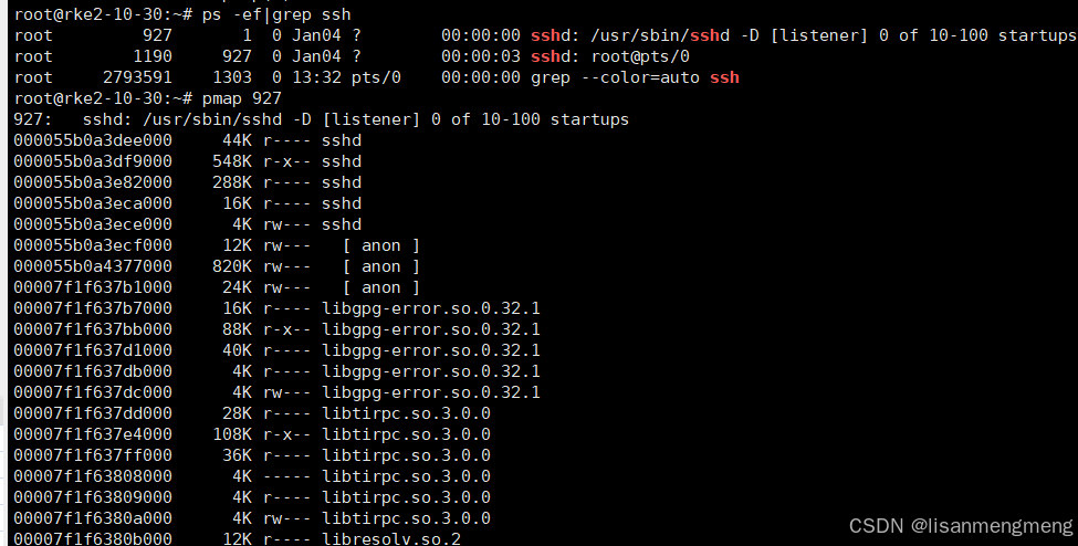 pmap 命令介绍和使用案例_pmap -x-CSDN博客