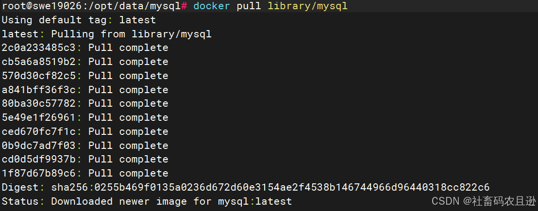 Docker容器中运行MySQL服务，并用navicat测试连接_navicat 连接docker mysql-CSDN博客