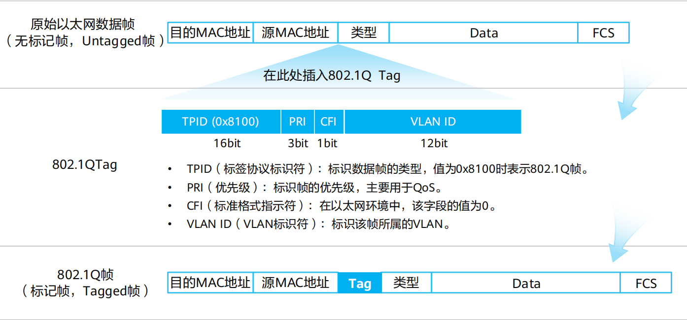 VLAN的原理-HCIA-CSDN博客