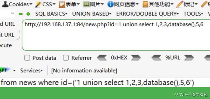 DAY43WEB 攻防-PHP 应用&SQL 注入&符号拼接&请求方法&HTTP 头&JSON&编码类-CSDN博客