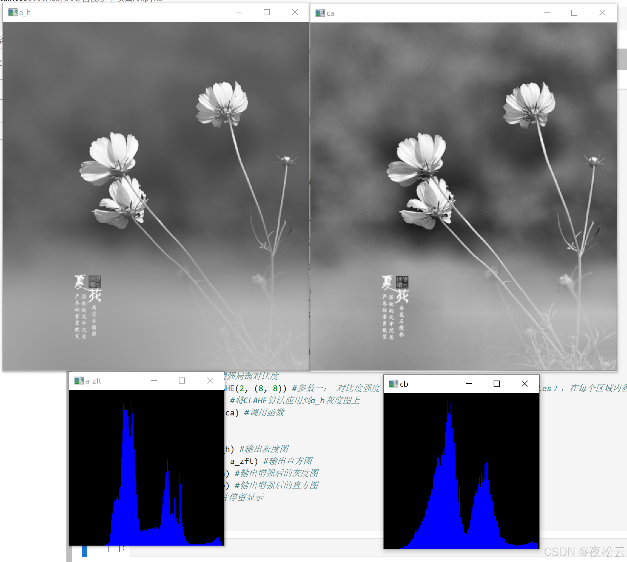 OpenCV直方图统计与CLAHE增强对比度实例解析_cv2 增强对比度-CSDN博客