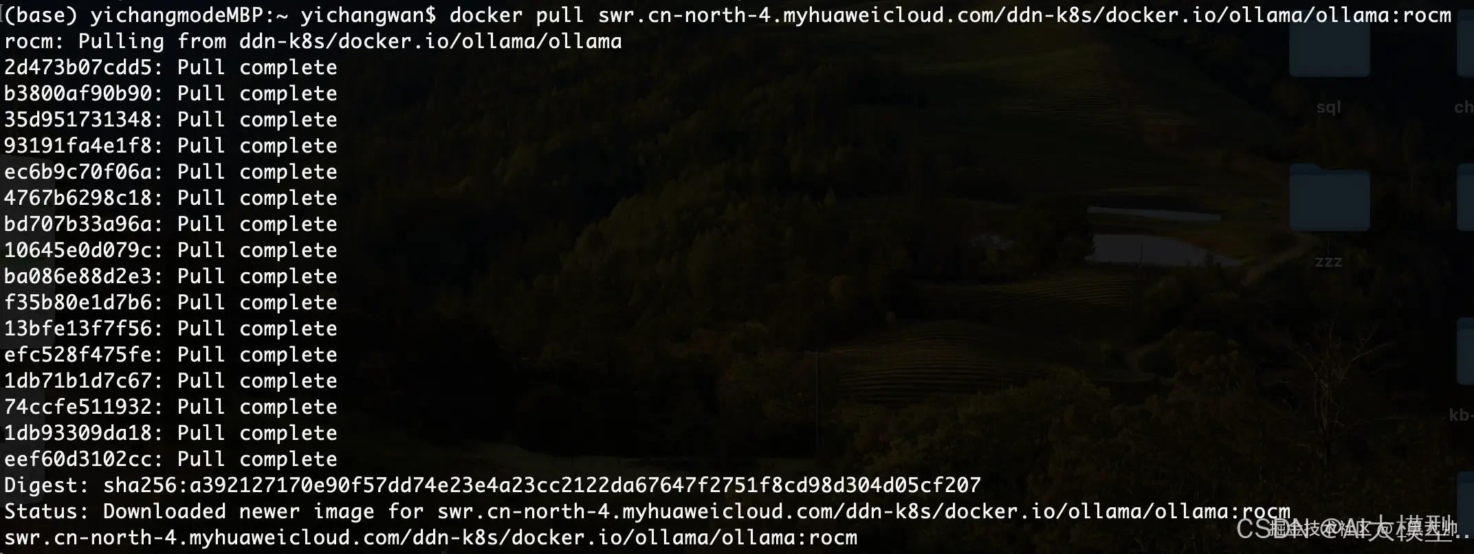 详细解Ollama和Docker在本地部署大型语言模型_ollama docker-CSDN博客