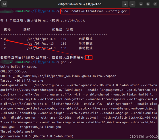 VMware17安装Ubuntu24.04.1及gcc4.8.5_vmware workstation player 17 ubuntu24-CSDN博客