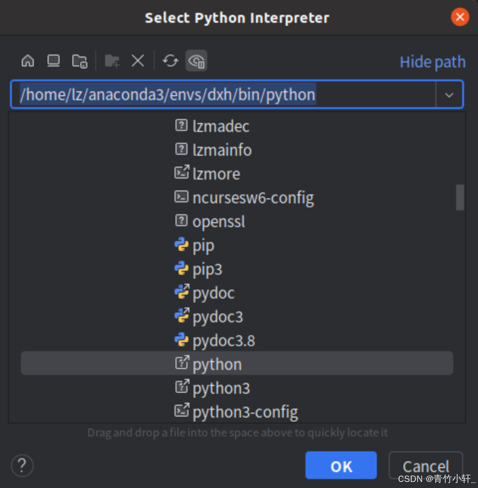 Linux系统上的pycharm如何更换用conda创建的不同的虚拟环境_linux pycharm conda-CSDN博客