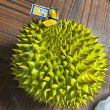 golang-gin包_golang gin-CSDN博客