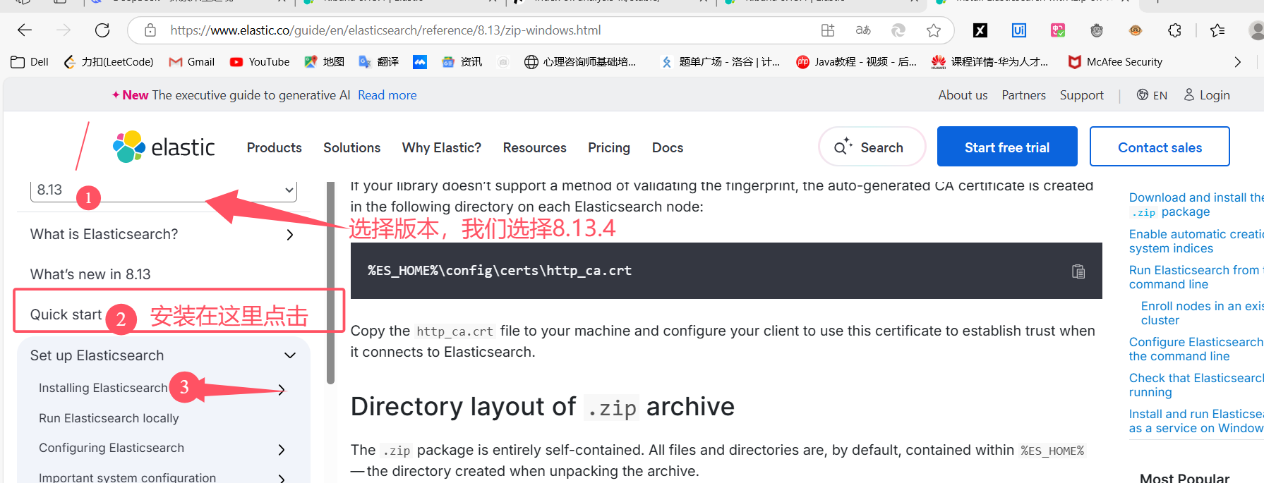 下载Elasticsearch8.+稳定版保姆级教程_elasticsearch8下载-CSDN博客