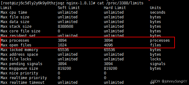 Thanos错误:Accept error: accept tcp [::]:19194: accept4: too many open files； retrying in 1s ...