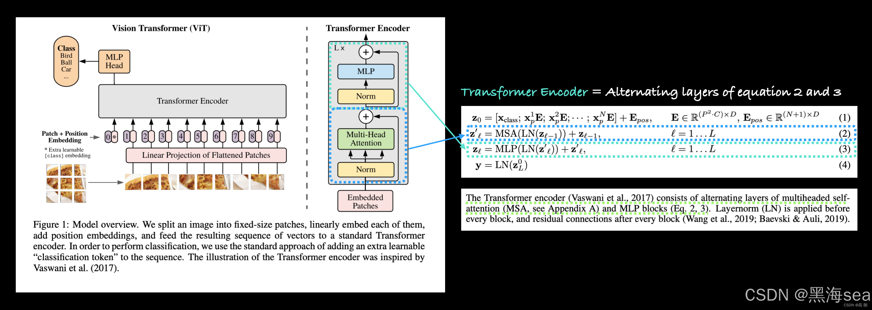 Vision Transformer(ViT)复现_vit复现-CSDN博客