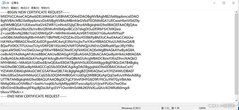 Windows11 IIS+DNS搭建ssl证书网站_win11 ssl证书-CSDN博客