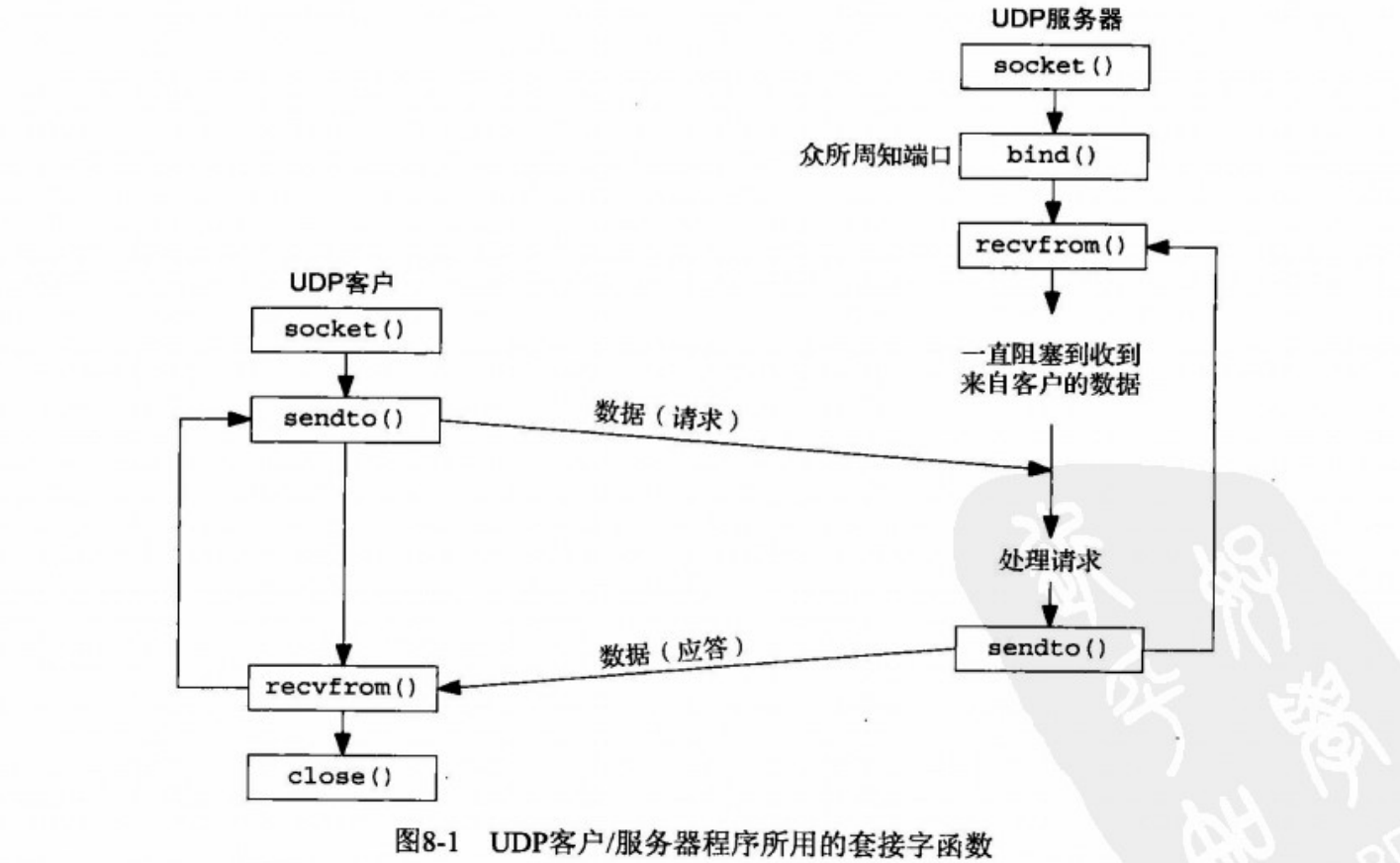 UNP第一卷 第八章--UDP套接字编程-CSDN博客