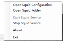 windows中squid安装&使用_squid windows-CSDN博客