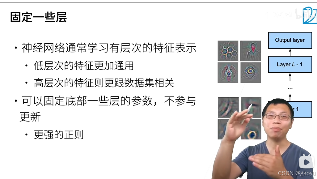 深度学习中的微调（Fine-tuning）&PyTorch 实践_深度学习 微调 fc-CSDN博客