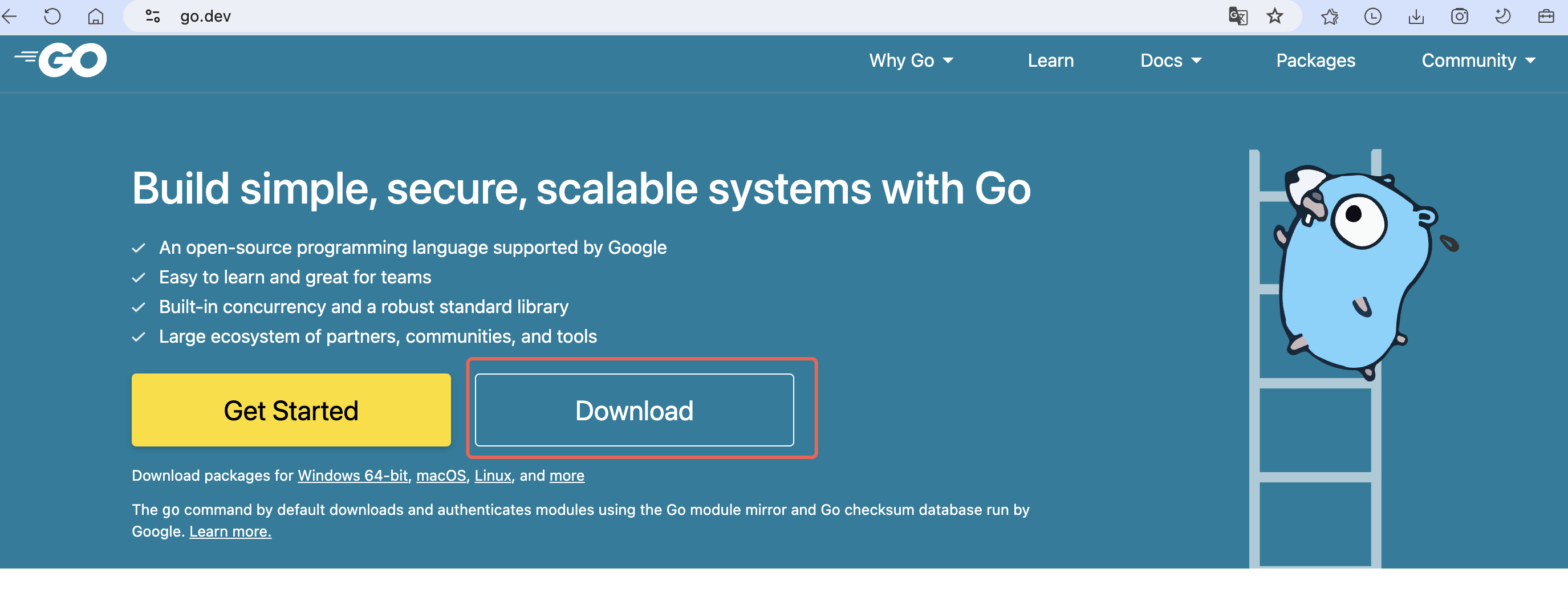在Mac OS系统中安装Go语言环境教程_mac 安装go-CSDN博客