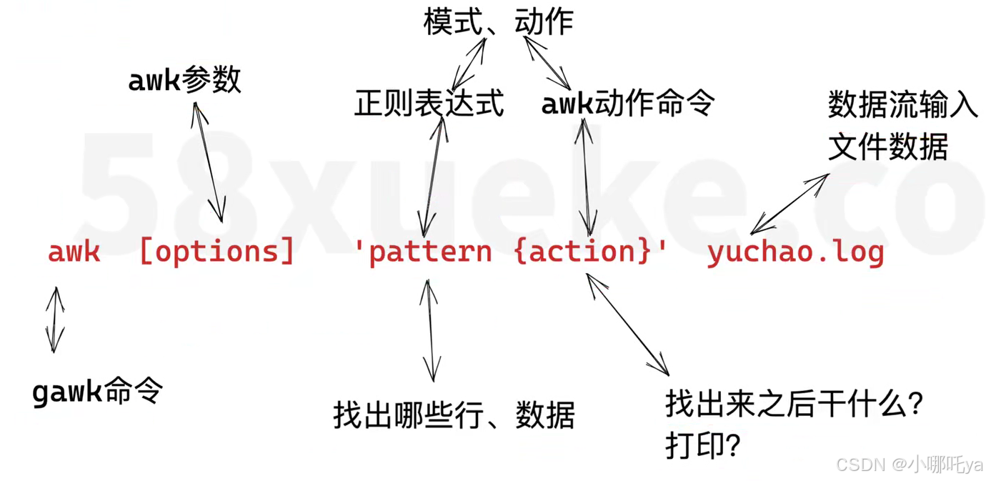 30正则表达式三剑客awk-3-CSDN博客