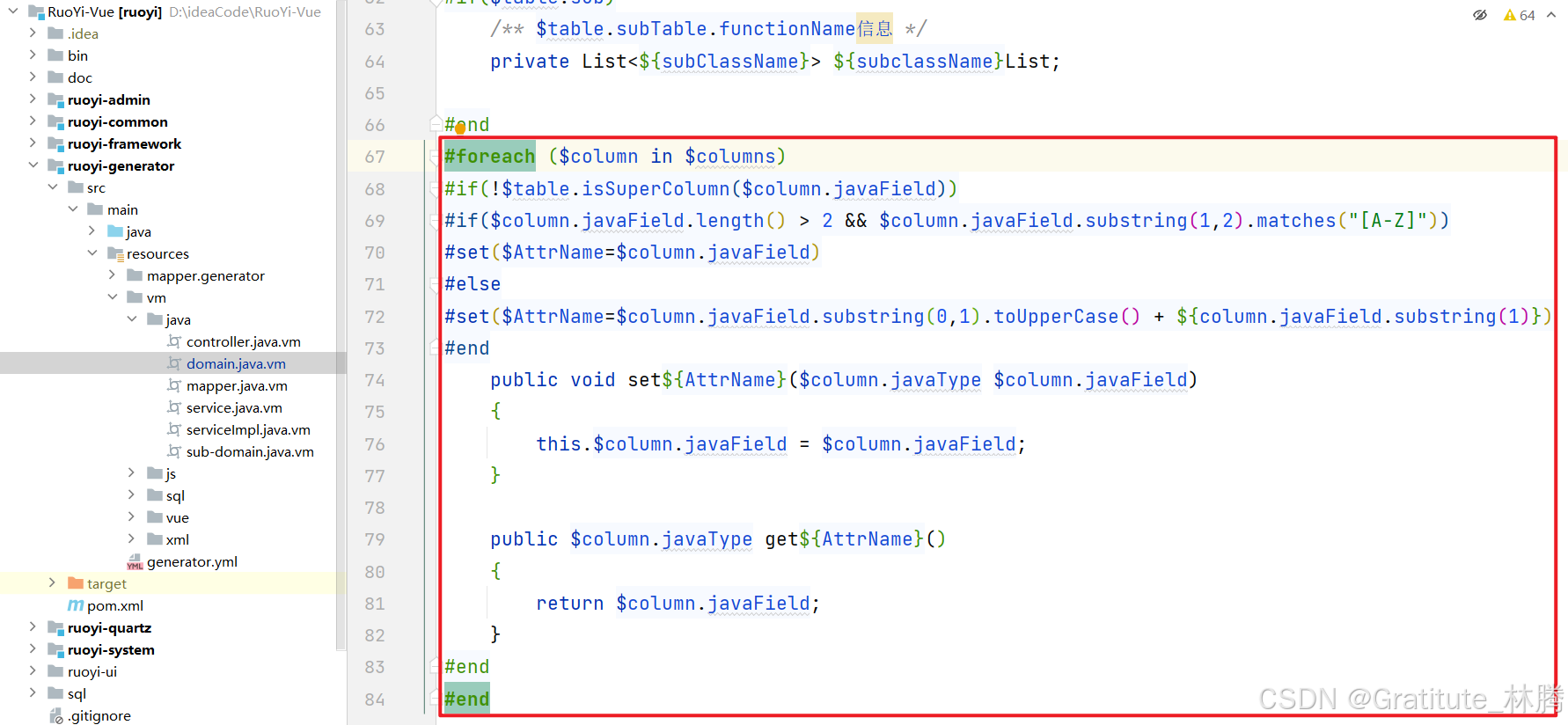 若依框架-代码生成器_lombok集成_若依集成lombok-CSDN博客