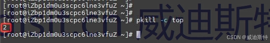 Linux系统下的进程管理利器：pkill命令详解-CSDN博客