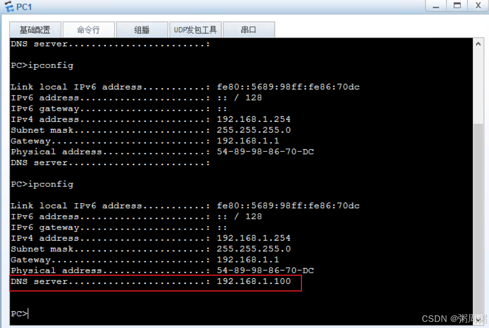 DNS的介绍_csdn一文弄懂什么是dns-CSDN博客