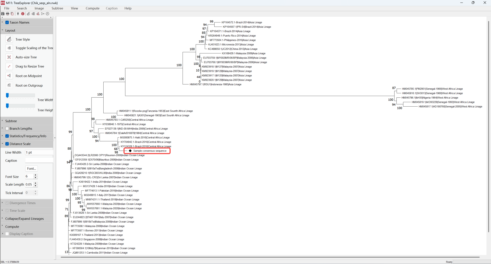 基孔肯雅病毒(Chikungunya virus)全基因组测序分析方法_chikungunya数据集-CSDN博客