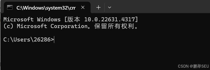 Windows系统下有关Webots安装与配置相关问题的解决方法_webots windows-CSDN博客