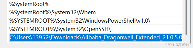 java环境安装教程，阿里的java，jdk，安装教程 Alibaba Dragonwell_阿里ajdk21.0.5-CSDN博客